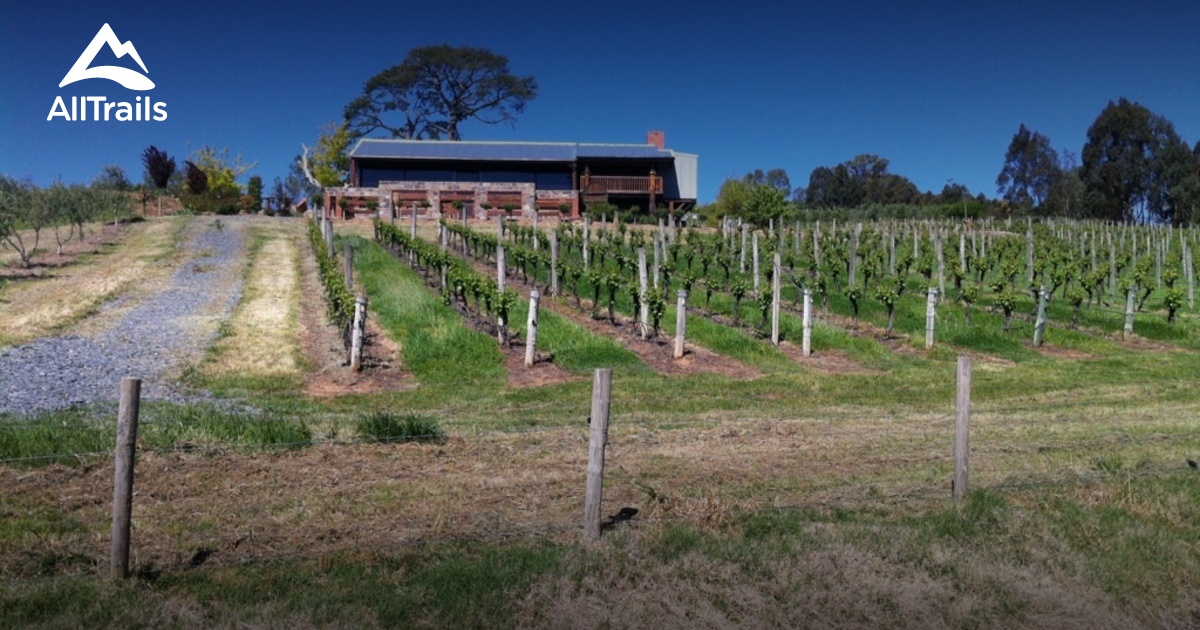 10 Best trails and hikes in Montacute | AllTrails