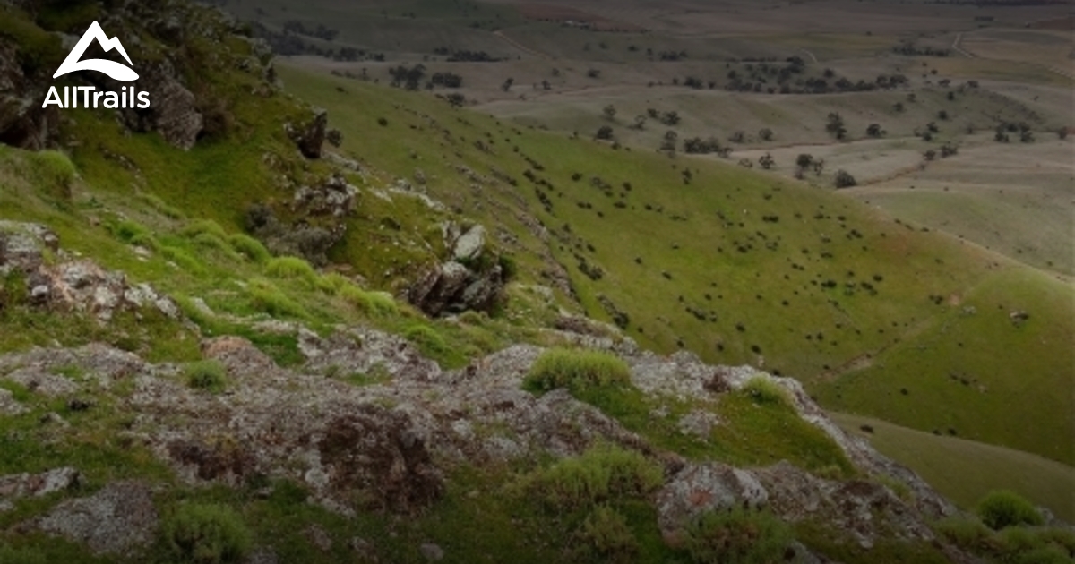 Best Trails near Mount Bryan East, South Australia Australia | AllTrails
