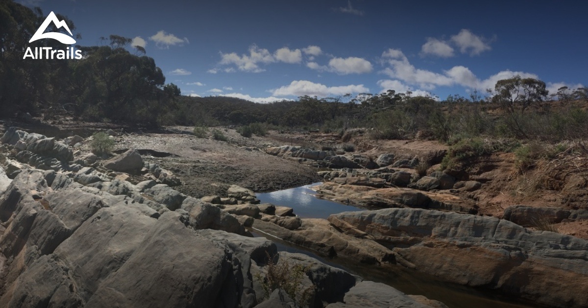 Best hikes and trails in Mount Bryan East | AllTrails