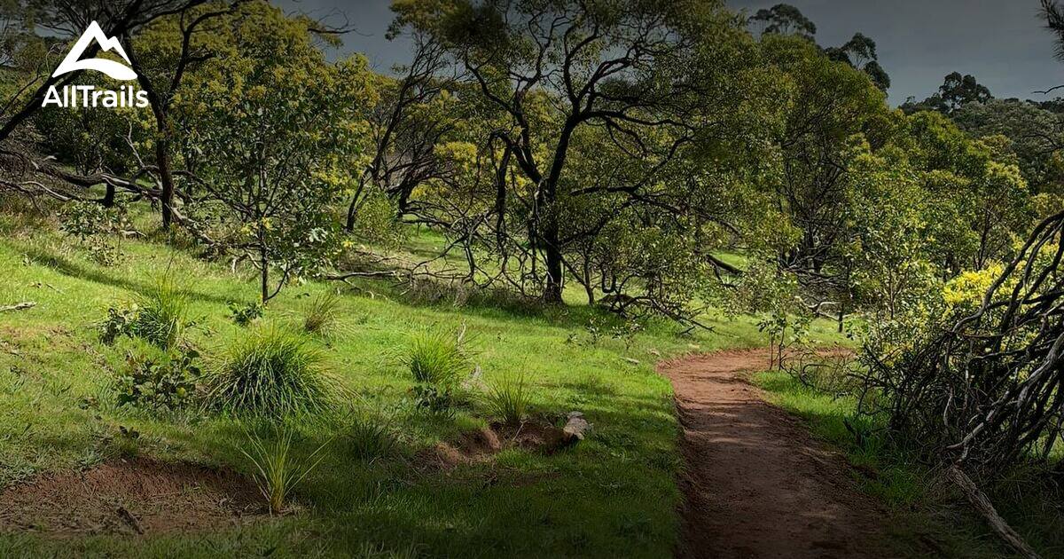 Best hikes and trails in Mount Burr | AllTrails