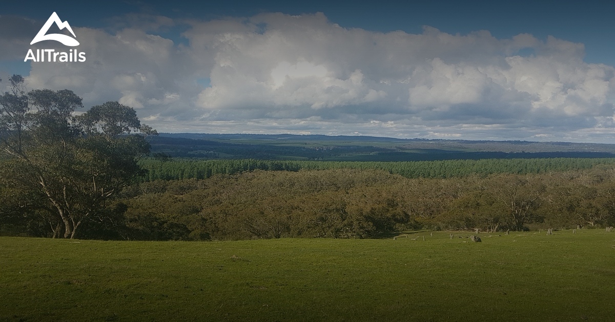 Best Trails near Mount Crawford, South Australia Australia | AllTrails