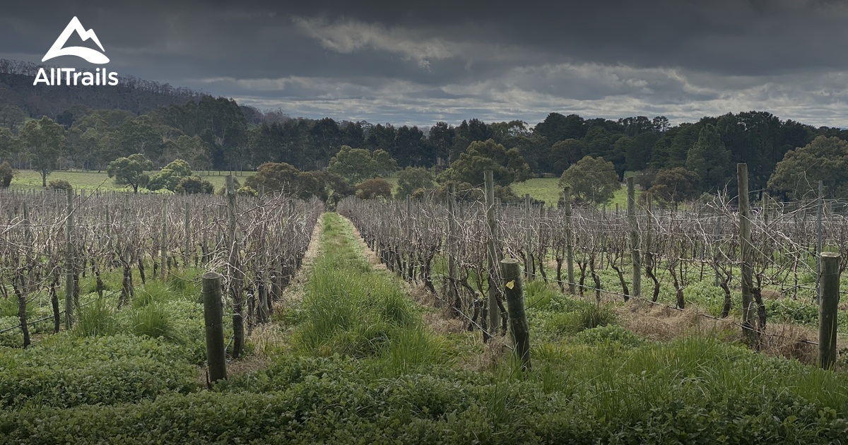 Best walking trails in Mount Torrens | AllTrails