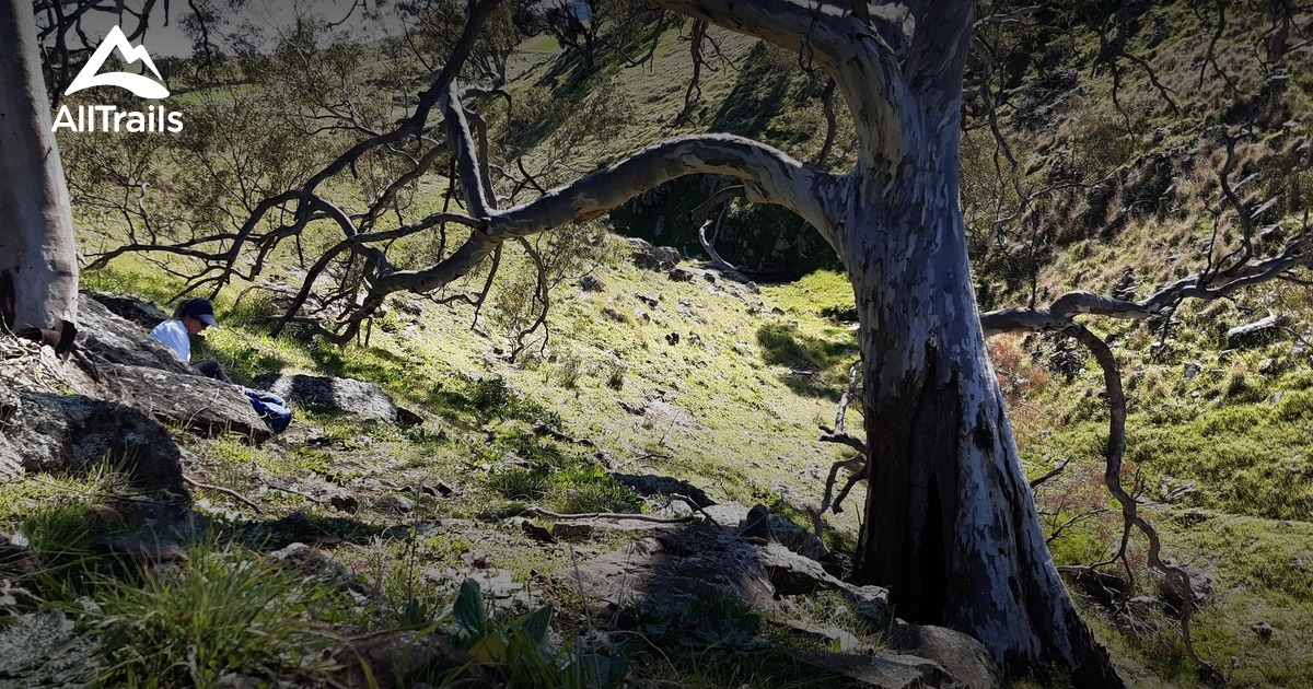 Best hikes and trails in Murray Town | AllTrails