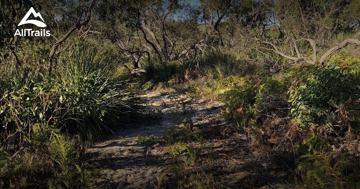 Best hikes and trails in Myponga | AllTrails