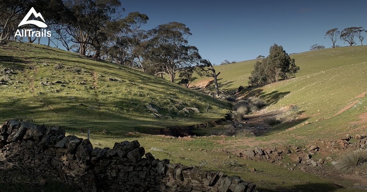 I migliori sentieri per passeggiate in Springton | AllTrails