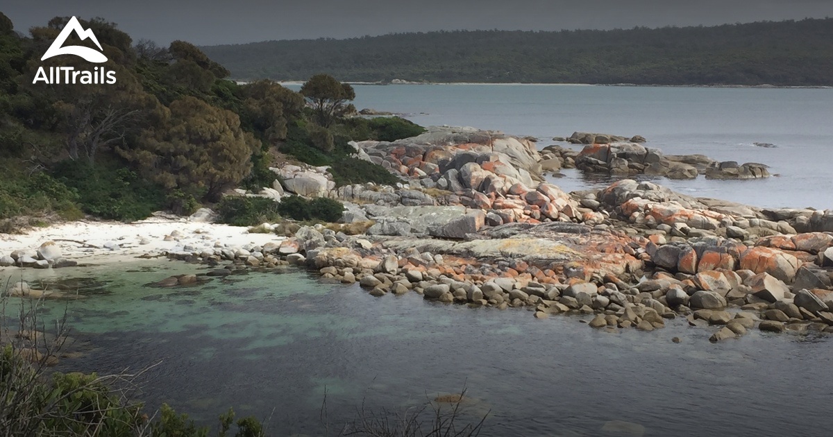 Best beach trails in Akaroa | AllTrails