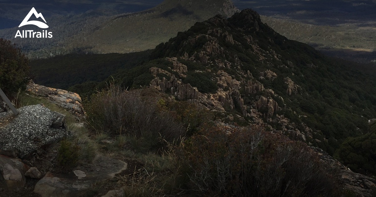 Best hikes and trails in Alberton | AllTrails