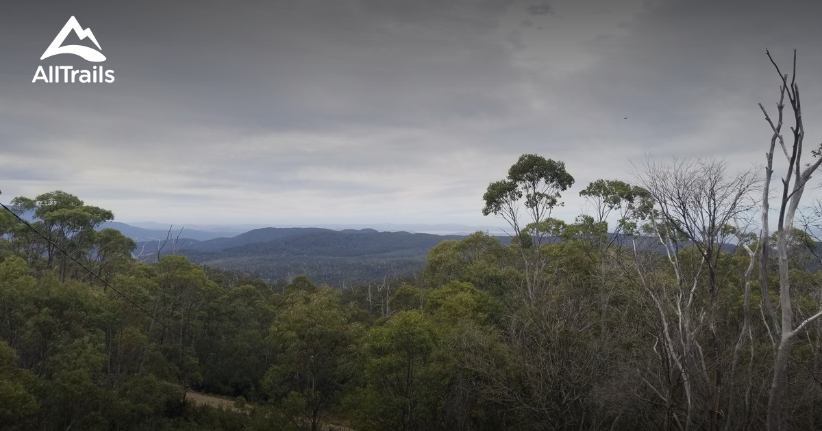 Best views trails in Cygnet | AllTrails