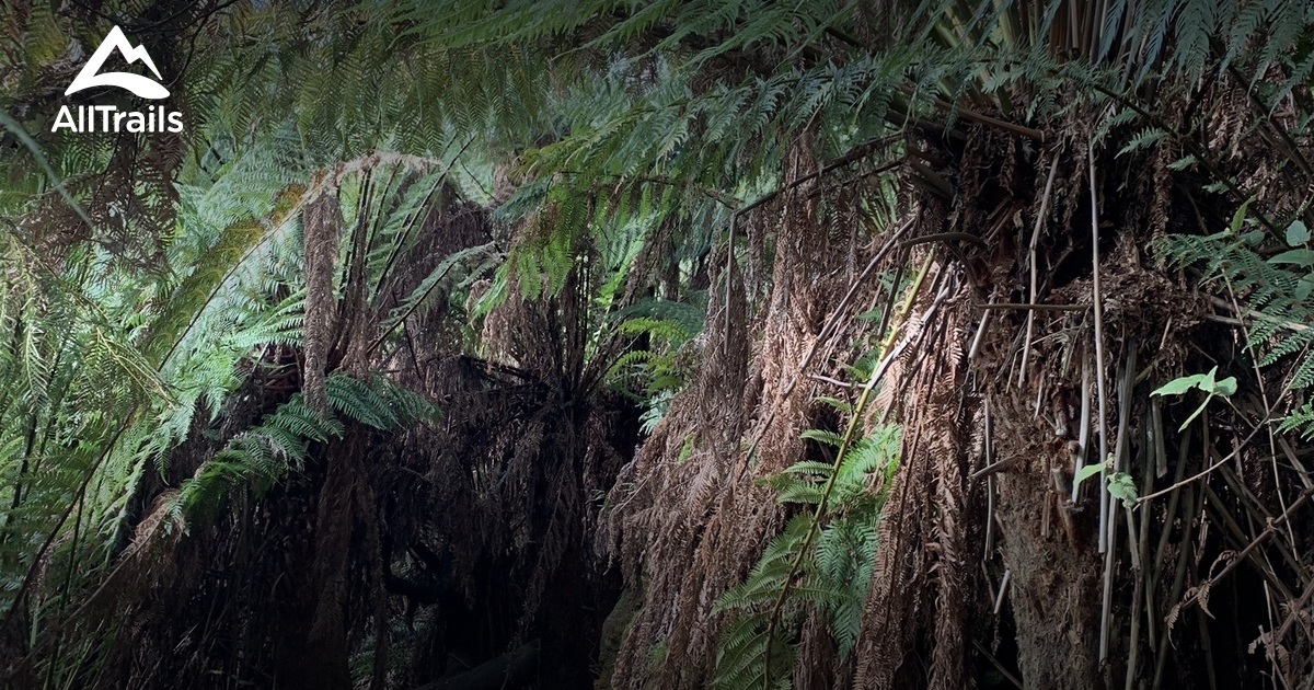 Best walking trails in Derby | AllTrails