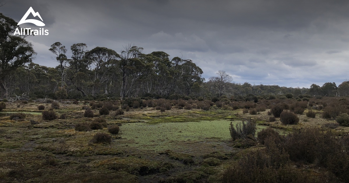 Best hikes and trails in Derwent Bridge | AllTrails