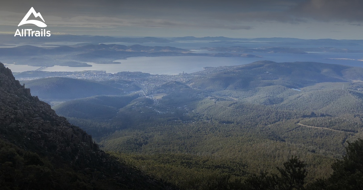 10 Best trails and hikes in Fern Tree | AllTrails