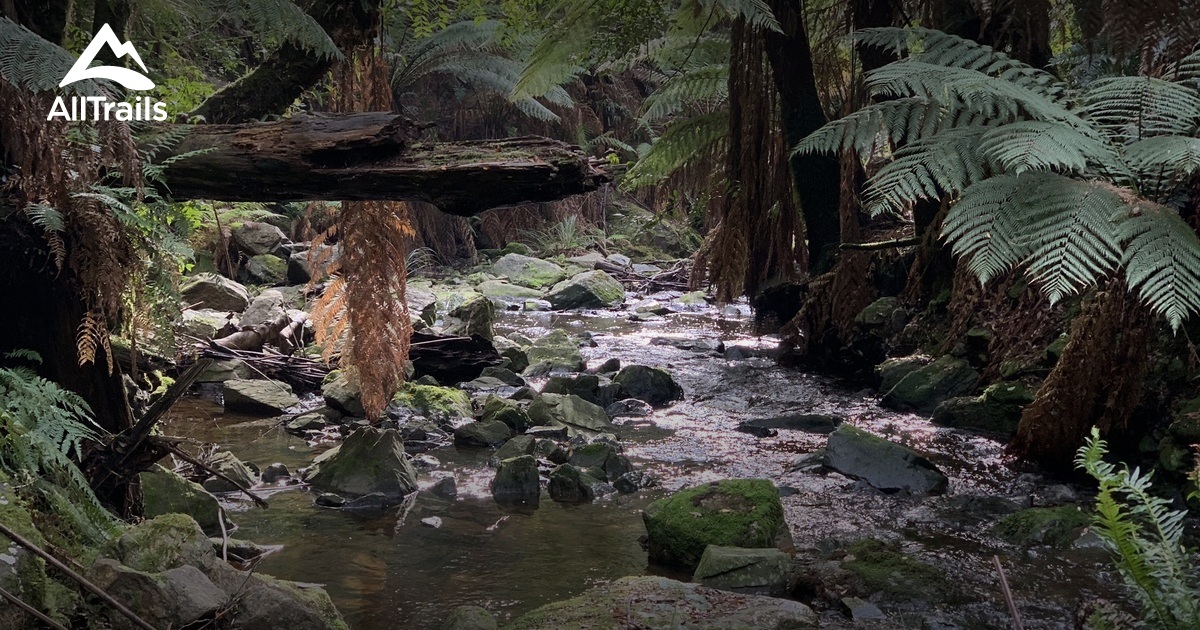 Best waterfall trails in Holwell | AllTrails