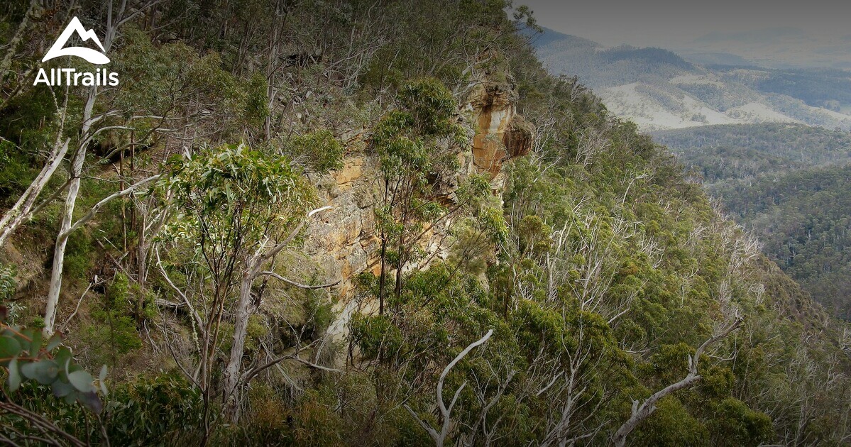 Best hikes and trails in Lachlan | AllTrails