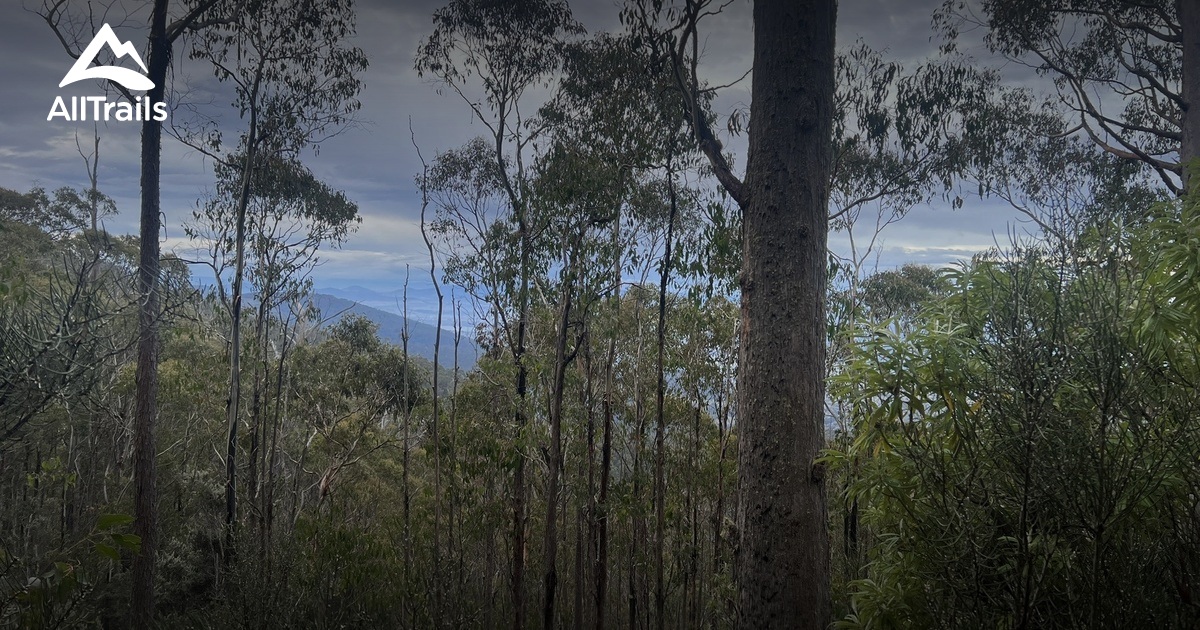 Best hikes and trails in Lenah Valley | AllTrails