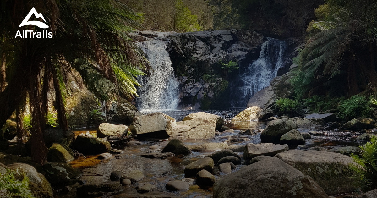 Best waterfall trails in Lottah | AllTrails