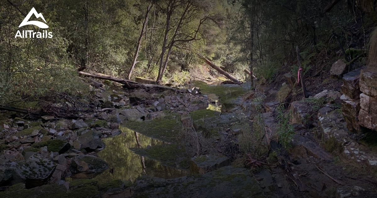 Best walking trails in Mayberry | AllTrails