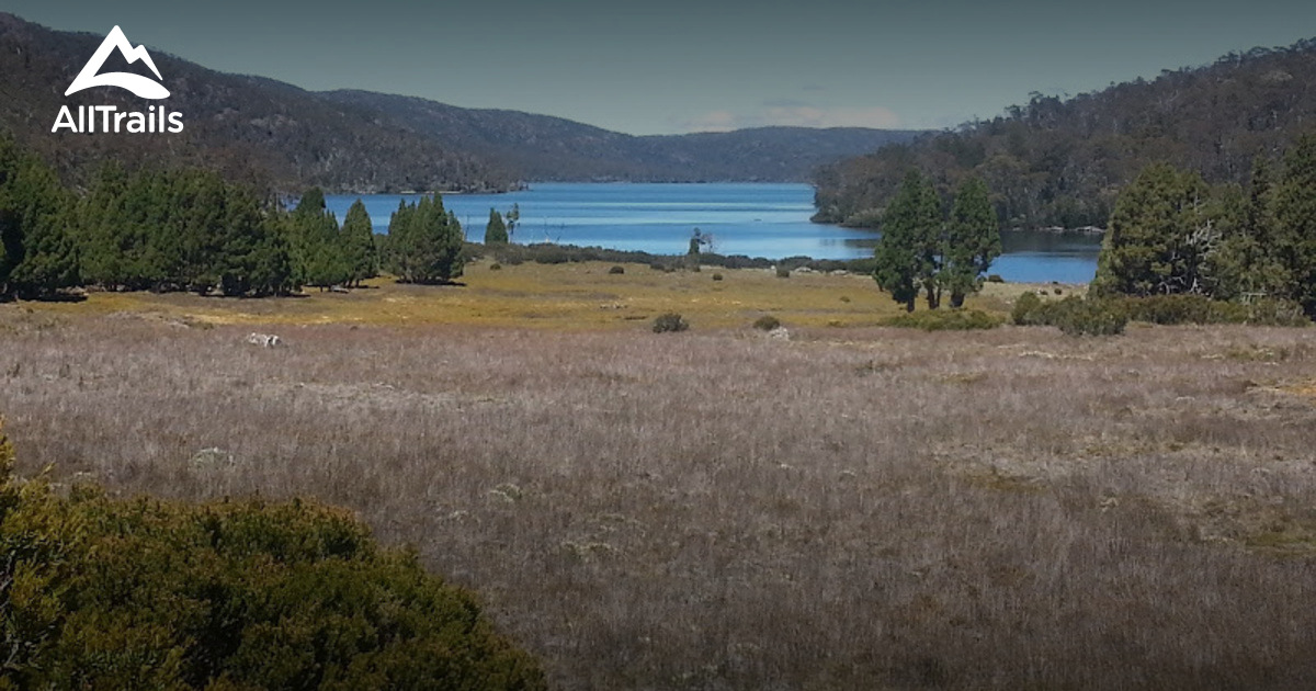 10 Best trails and hikes in Mersey Forest | AllTrails