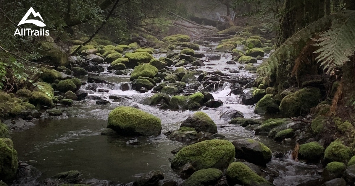 Best hikes and trails in Moina | AllTrails