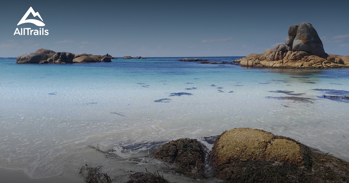 Best hikes and trails in Musselroe Bay | AllTrails