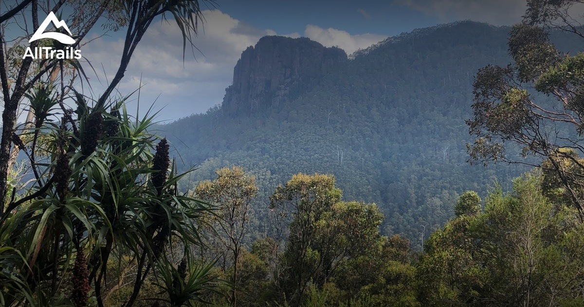 Best forest trails in Neika | AllTrails