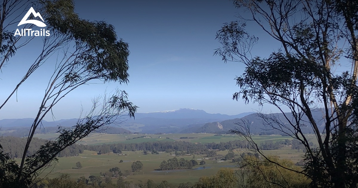 Best forest trails in Nook | AllTrails