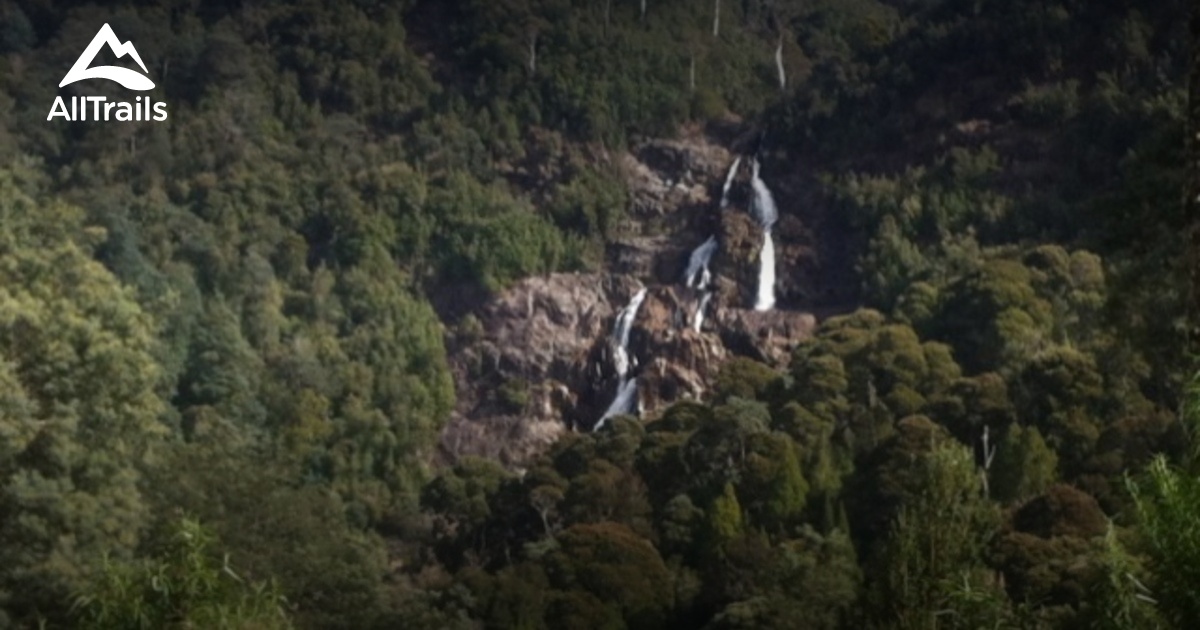 Best hikes and trails in Pyengana | AllTrails