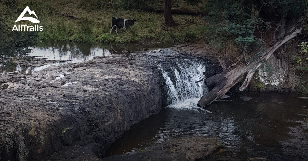 Best views trails in Ridgley | AllTrails