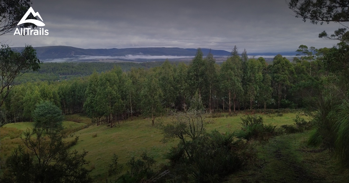 Best hikes and trails in St Marys | AllTrails