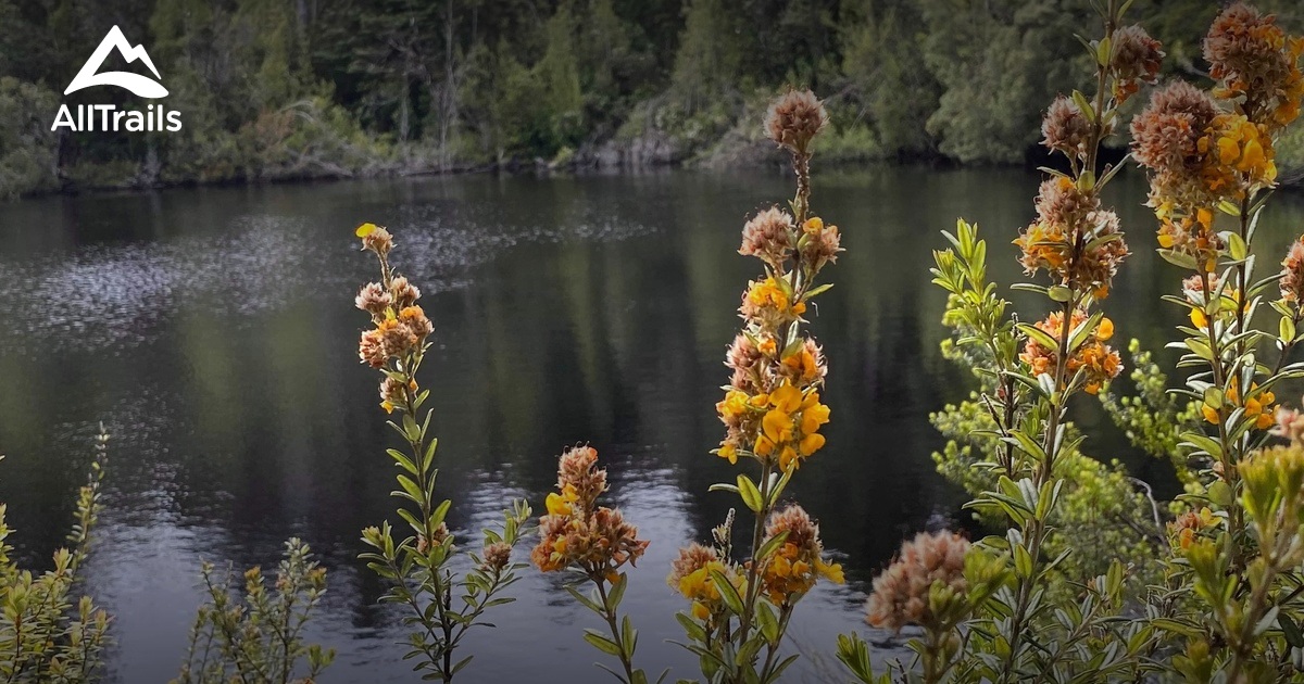 Best hikes and trails in Strathblane | AllTrails