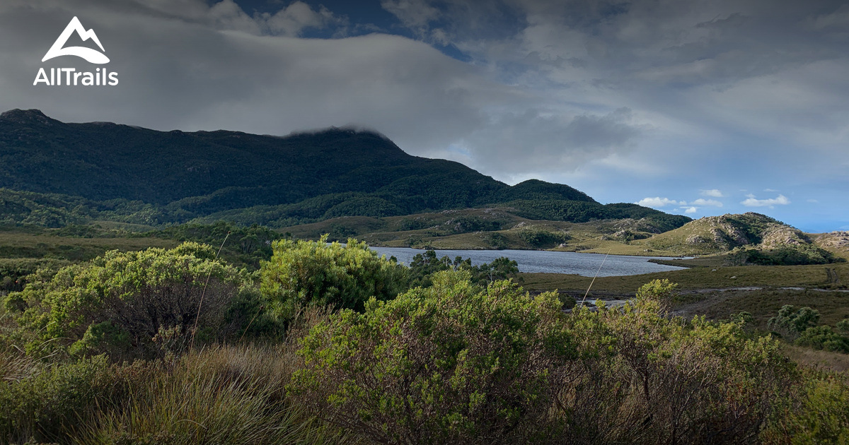 Best hikes and trails in Trial Harbour | AllTrails