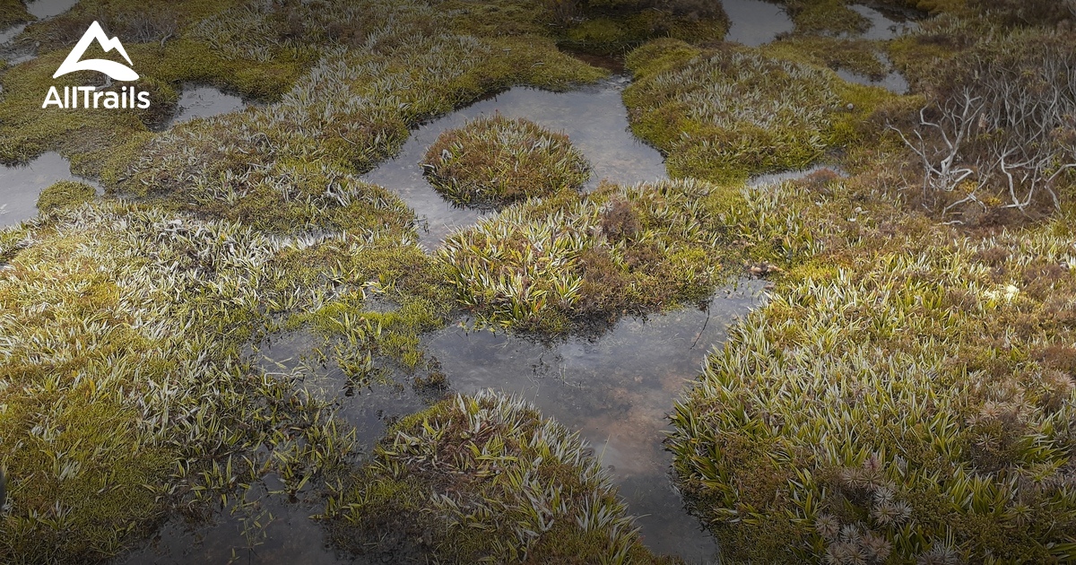 Best hikes and trails in Upper Blessington | AllTrails