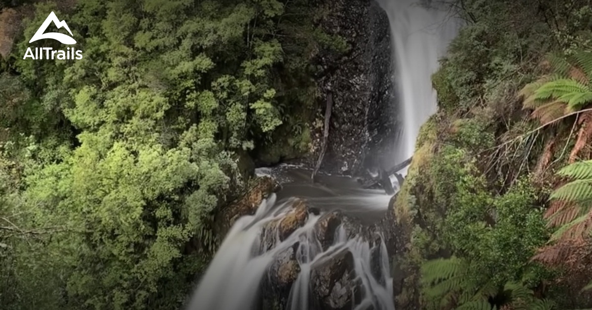 Best walking trails in Waratah | AllTrails