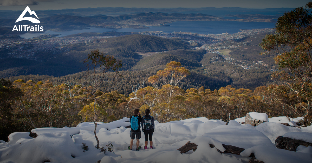 10 Best trails and hikes in Wellington Park | AllTrails