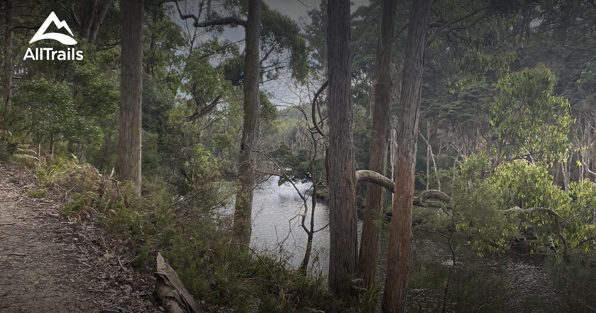 Best hikes and trails in Wynyard | AllTrails