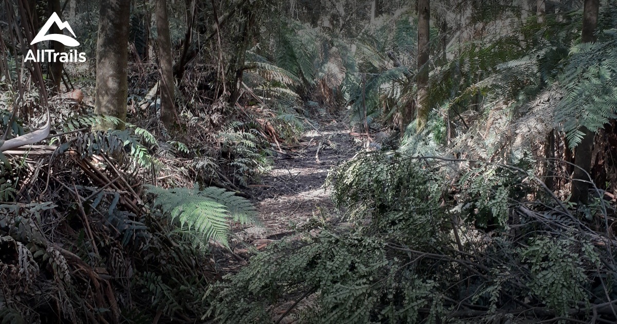 Best forest trails in Ada | AllTrails