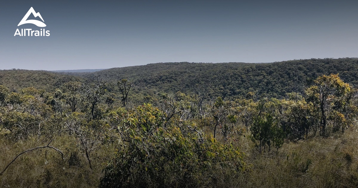 10 Best trails and hikes in Aireys Inlet | AllTrails