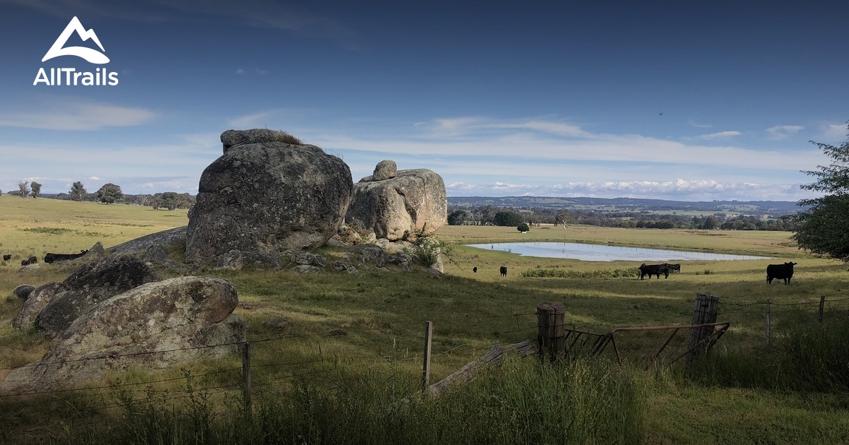 Best hikes and trails in Avenel | AllTrails