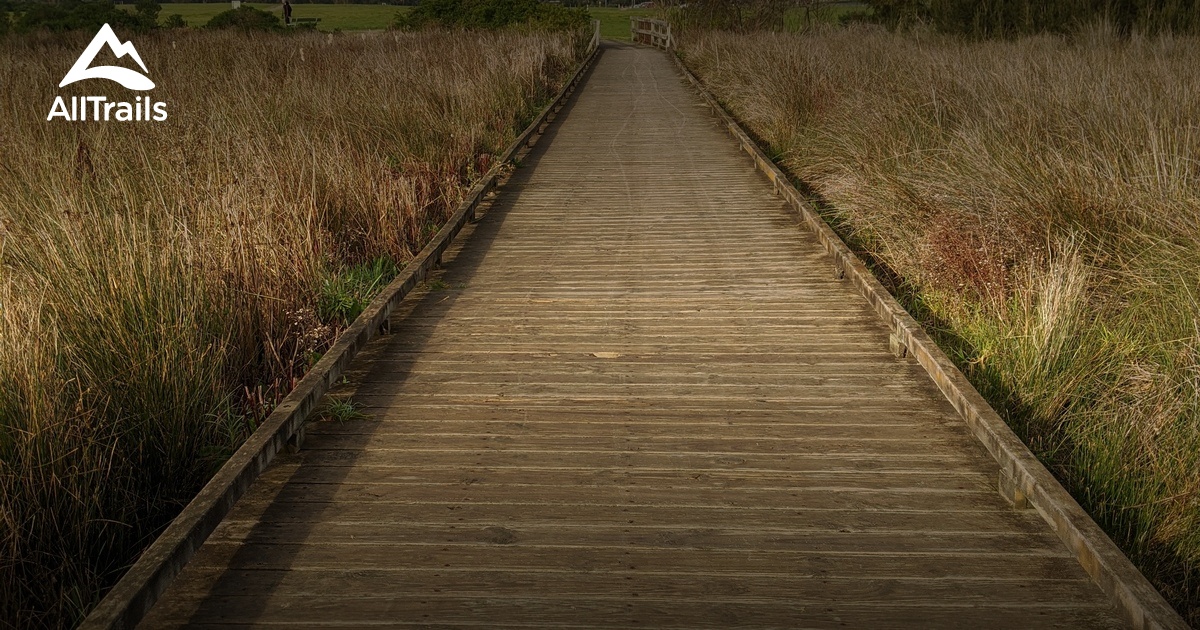 Best hikes and trails in Balnarring - Balnarring Beach | AllTrails