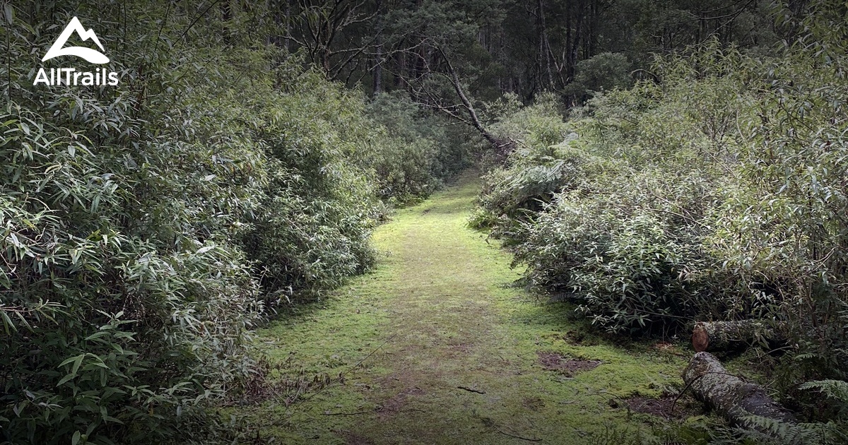 Best waterfall trails in Balook | AllTrails