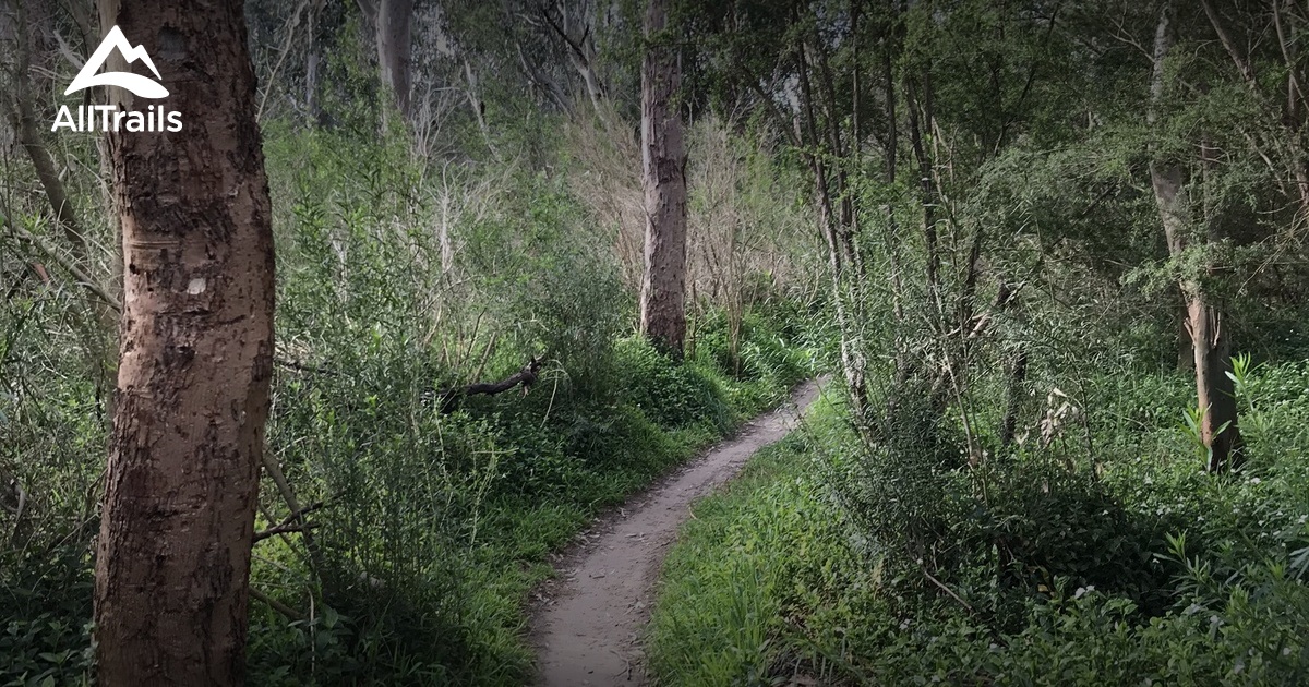 Best river trails in Banyule | AllTrails