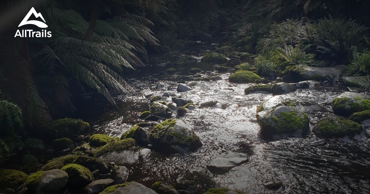 Best river trails in Barramunga | AllTrails