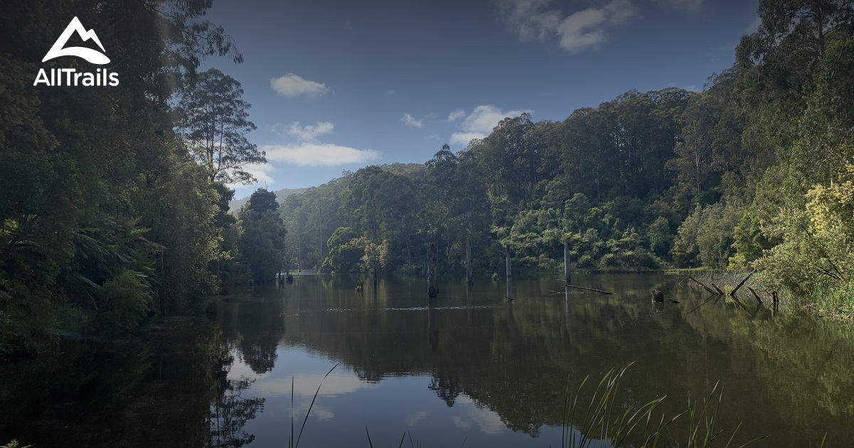 Best hikes and trails in Barwon Downs | AllTrails