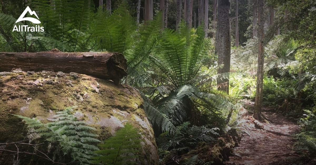 Best backpacking trails in Baw Baw | AllTrails