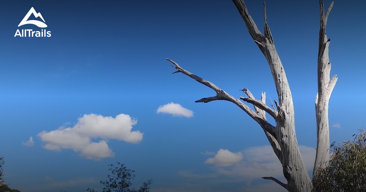 Best hikes and trails in Beaconsfield | AllTrails