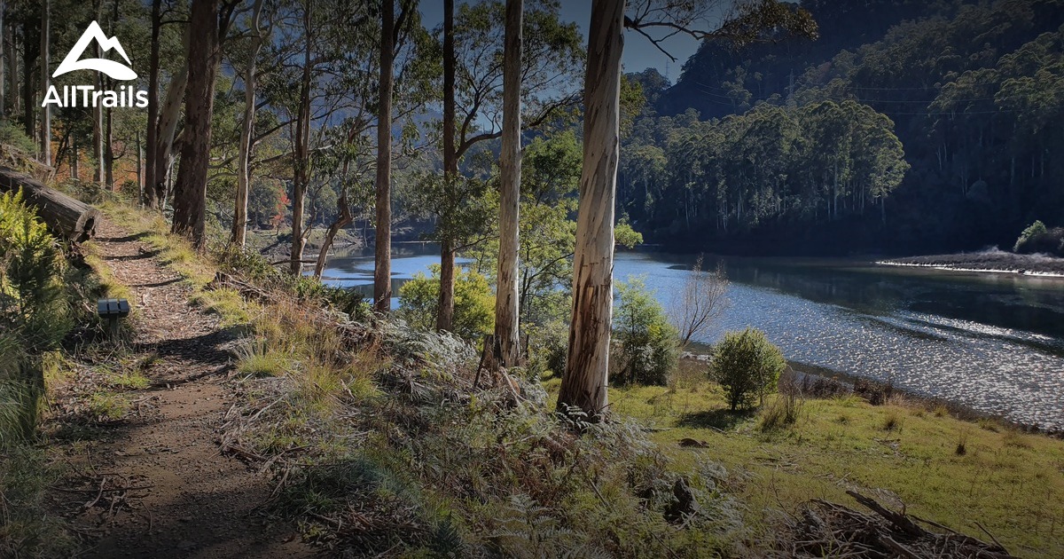 Best hikes and trails in Bogong | AllTrails