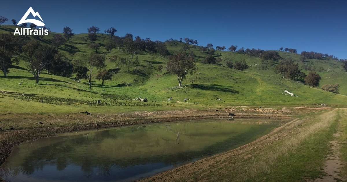 Best trails in Bonegilla, Victoria | AllTrails