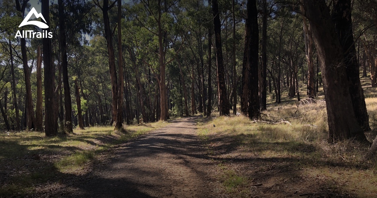 Best hikes and trails in Boronia | AllTrails