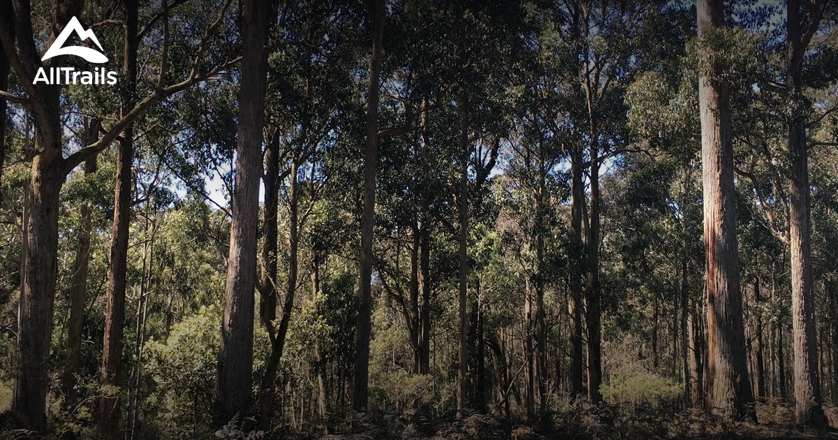 Best hikes and trails in Bullarto South | AllTrails