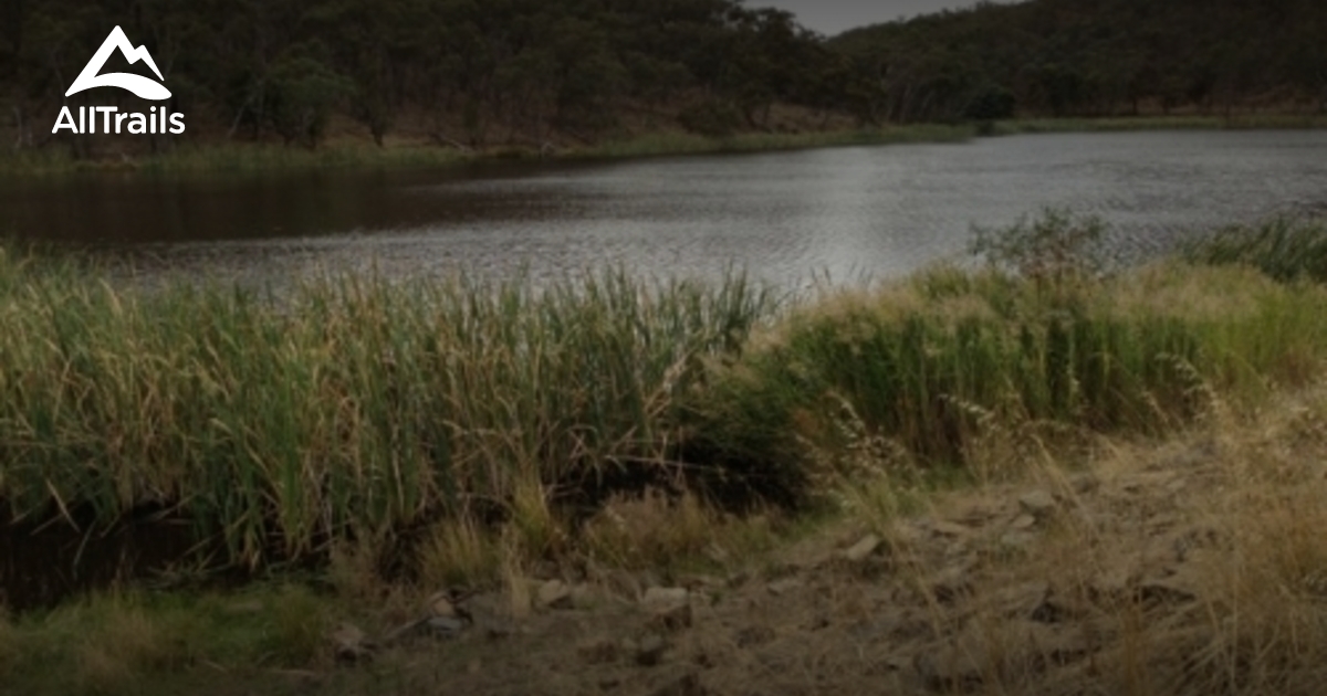 Best trails in Castlemaine, Victoria | AllTrails