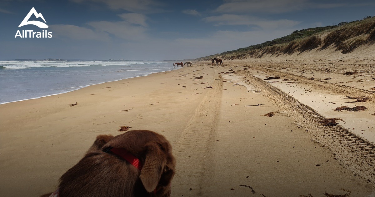 Best beach trails in Connewarre | AllTrails